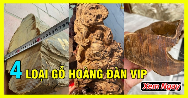 Top 4 loại gỗ hoàng đàn được đại gia săn tìm mua bằng được