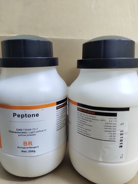 Peptone - Xilong CÔNG TY TNHH THƯƠNG MẠI HÓA CHẤT VÀ THIẾT BỊ HOA VIỆT