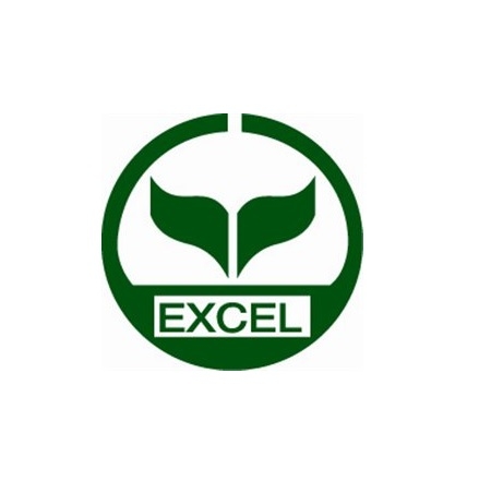Excel Group (Malaysia) | FINOM JOINT STOCK COMPANY