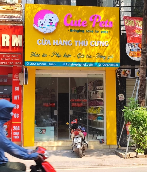Các loại đồ chơi cho mèo có sẵn tại Cute Pets ! Cutepets - Pet shop ...