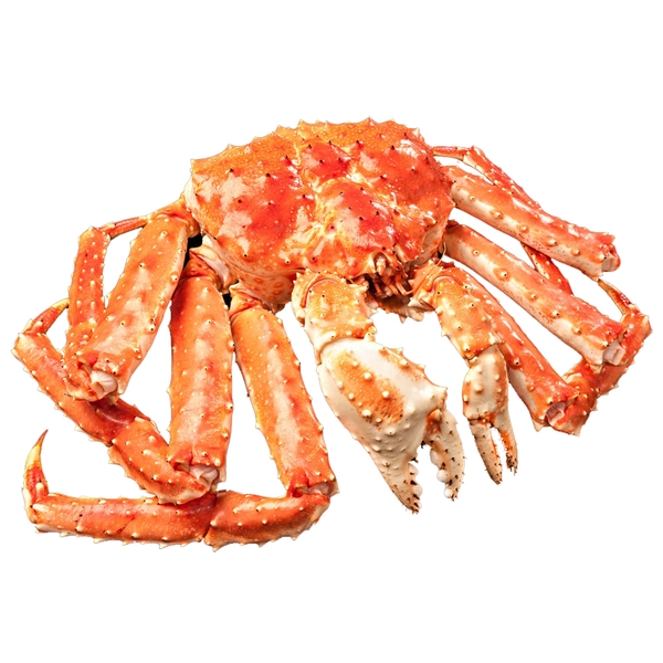 Cua Hoàng Đế King Crab