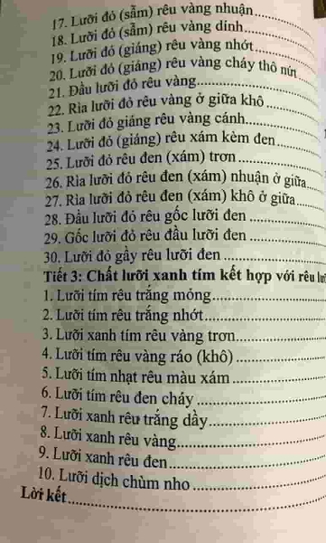 Thiệt chẩn | TINH HOA XANH