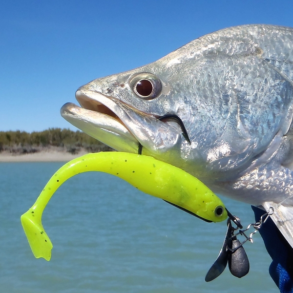 Thế giới Lure (Lịch sử môn câu lure và mồi Lure trên thế giới – Phần 2 ...
