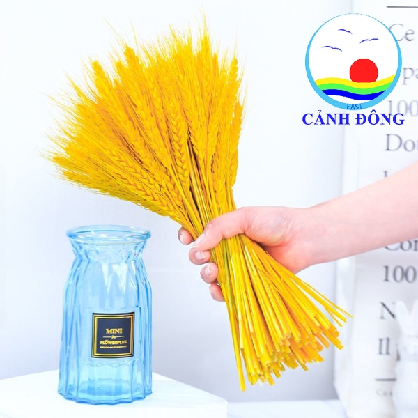 Bó lúa tài tộc may mắn trang trí tết, cắm bình hoa sang trọng cao 70 cm ...