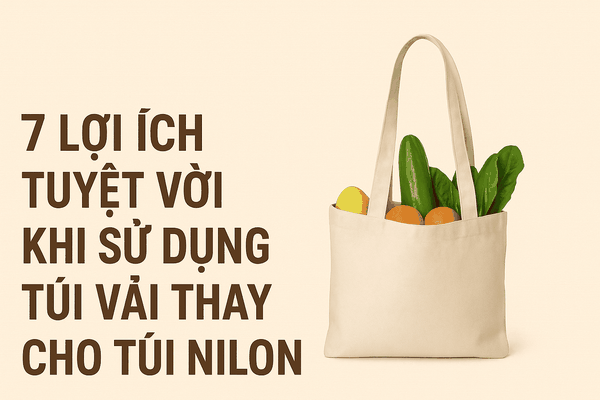 7 Lợi Ích Tuyệt Vời Khi Sử Dụng Túi Vải Thay Cho Túi Nilon