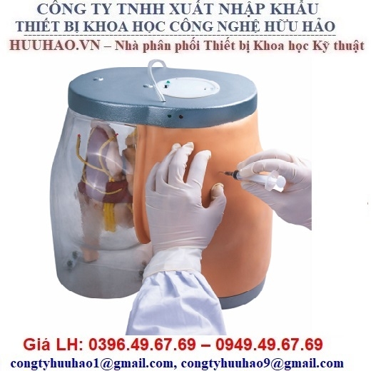 MÔ HÌNH TIÊM BẮP MÔNG GD/HS10B HONGLIAN - huuhao.vn