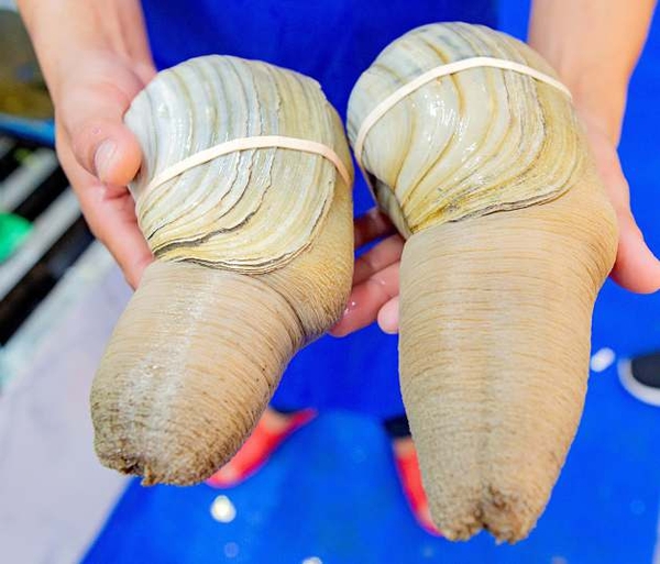 ỐC VÒI VOI | NHÀ HÀNG 04