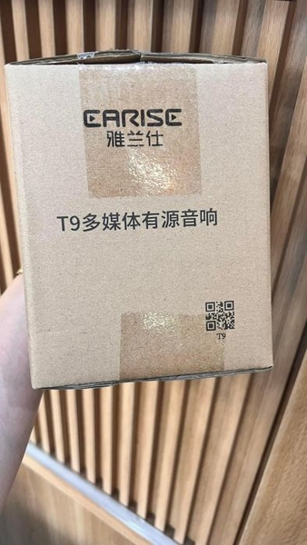 Loa Bluetooth Earise T9 - đèn RGG dạng thạch anh siêu đẹp Bewise Shop