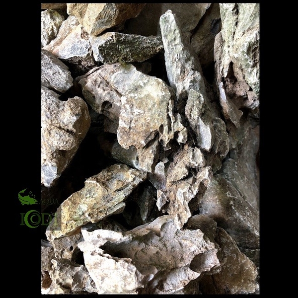 Đá Tai Mèo ICDI Aquarium and Pets