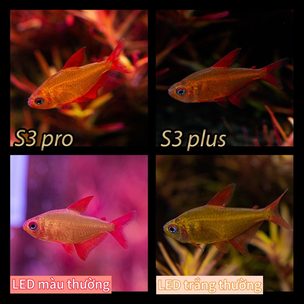 Đèn Bể Cá Neo Helios Flat Nano S3 Pro ICDI Aquarium and Pets