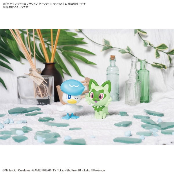 Mô Hình Pokemon Quaxly Pokepla Collection Quick 19 Bandai Đồ Chơi Lắp ...
