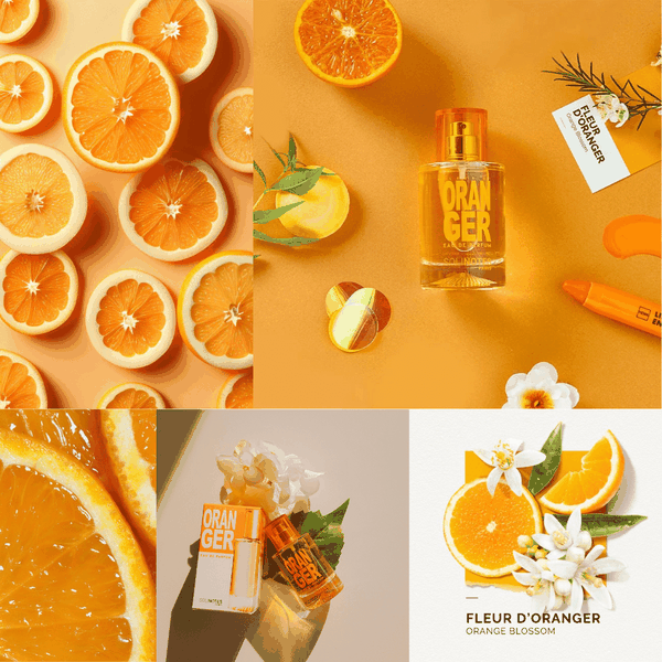 Solinotes Oranger - HOA CAM BLANC