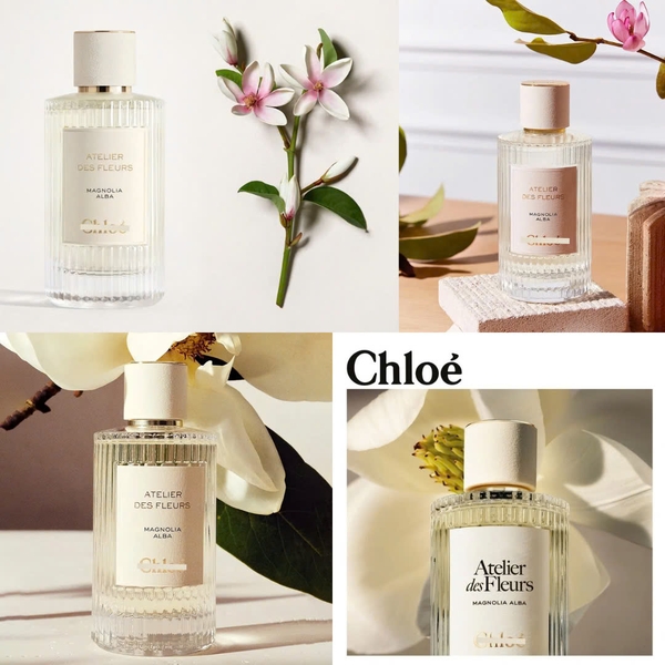 Chloe Atelier Des Fleurs Magnolia Alba - Hoa mộc lan có mùi gì? BLANC