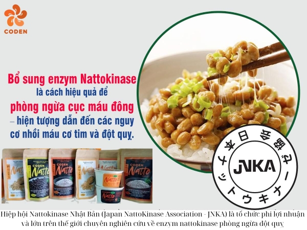 Chuyên gia Nhật nêu lý do enzym nattokinase làm tan cục máu đông ...