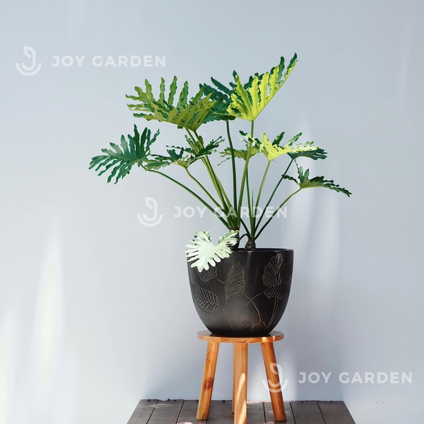 Com.Pot_[Dancing Leaves] (D45H38 Black) Joy Garden