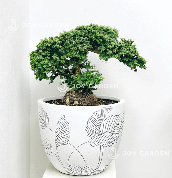 Com.Pot_[Dancing Leaves] (D37H30 White) Joy Garden