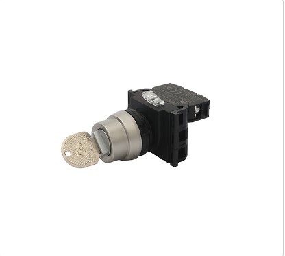 Control switch/Key selector switch/Công tắc chọn chìa khóa - KS Series ...