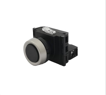 Control switch/Push button switch/nút nhấn chuyển đổi - KS Series ø25 ...