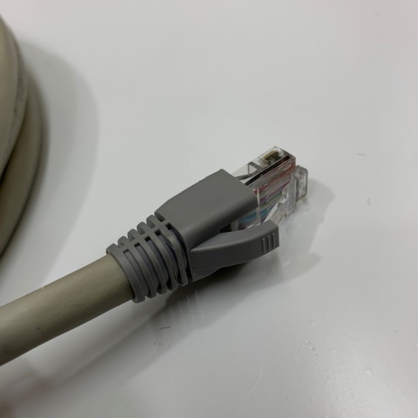 Dây Nhẩy UTP CAT5E Ethernet Patch Cord RJ50 to RJ50 10 Pin Cable Grey ...