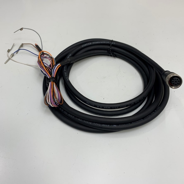 Cáp Điều Khiển IFM Electronic E12403 Dài 2.5M 8ft Cable M12 A-Code 8 ...