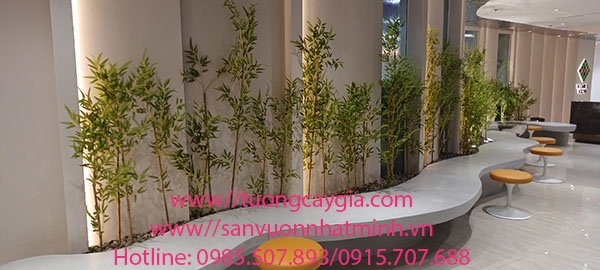 Lắp đặt khóm trúc thân vàng, lá xanh tại dự án Becamex Bình Dương Tường ...