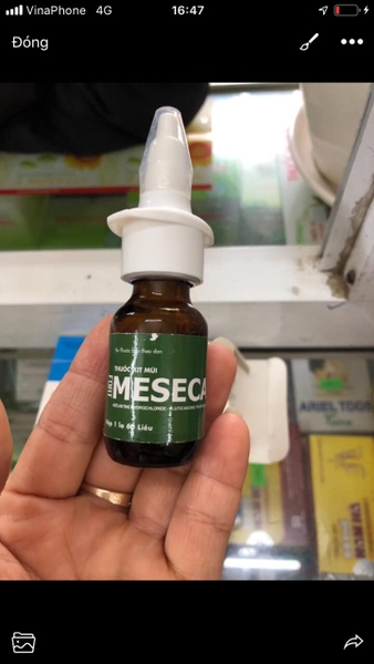 Meseca fort | nhathuocyentrang