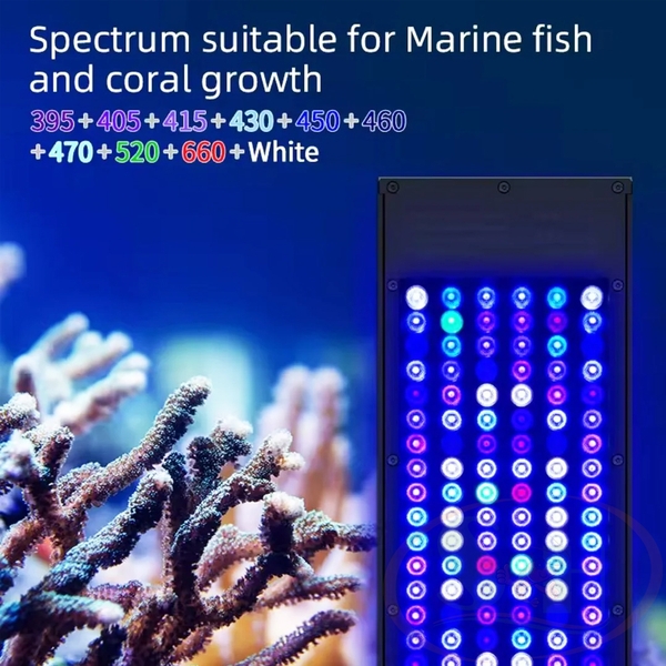 Đèn led biển Week Aqua Z Sea Marine Z400 quang phổ mặn - Shrimp Home