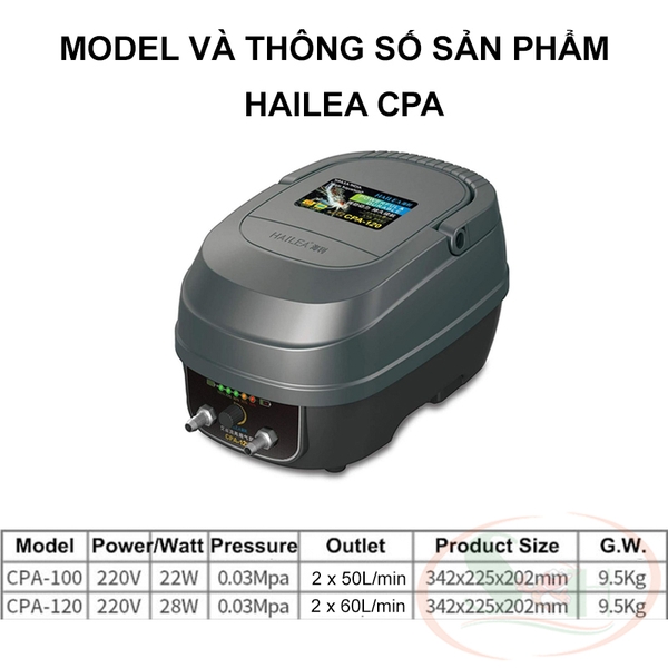 Máy sủi oxy tích điện Hailea CP / CPA Air Pump bình trữ - Shrimp Home