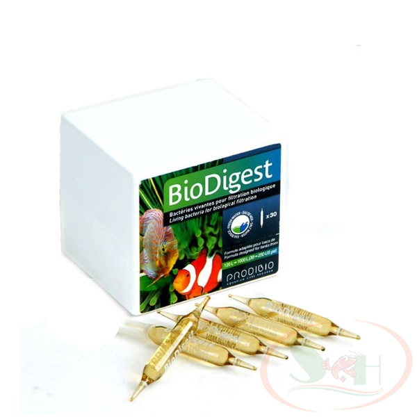 Vi sinh sống Prodibio BioDigest cao cấp xử lý nước bể cá - Shrimp Home
