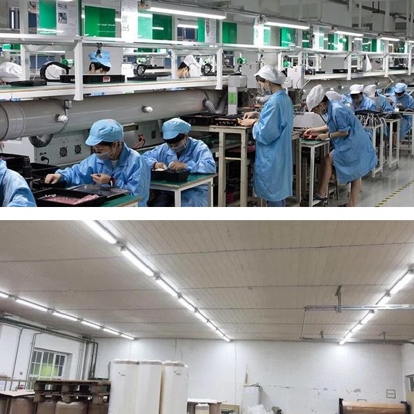 Đèn LED Batten Cao Cấp cho Phòng Sạch 80W-100W 13000lm 2,4m Zalaa ZVP ...