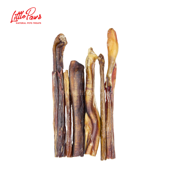 Little Paws BeeF Bladder- Pín Bò Sấy- S/M/L