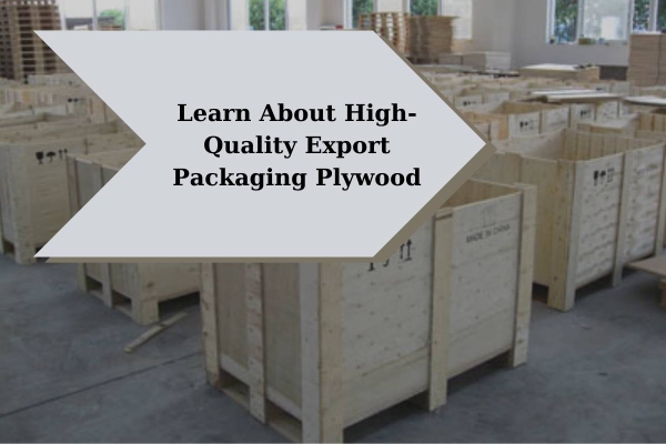 Learn About High-Quality Export Packaging Plywood