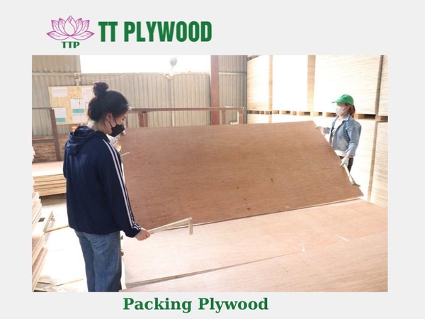 Bintangor Two-Faced Packing Plywood