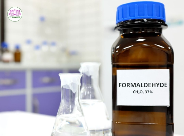 Low-Formaldehyde Plywood from Vietnam: A Supplier’s Guide to Internati