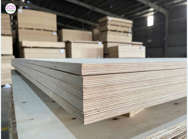 Birch Plywood | 18mm thick | CNC cut and sanded | TT PLYWOOD