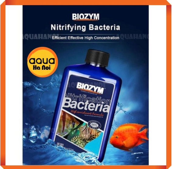 Biozym Vi sinh ĐẬM ĐẶC cho cá biển và nước ngọt - Biozym Nitrification ...