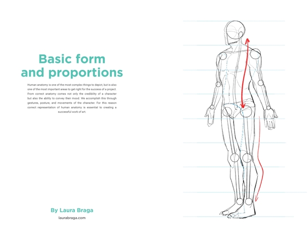 Basic form and proportions by Laura Braga