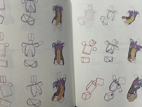 Human body structure and dynamic rendering