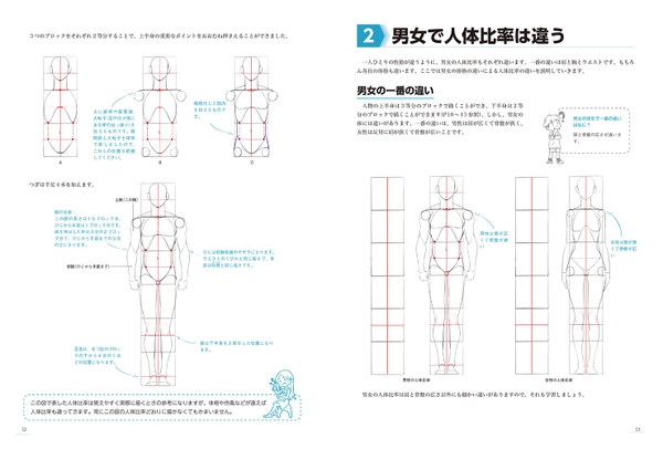 Structure and movement of the human body