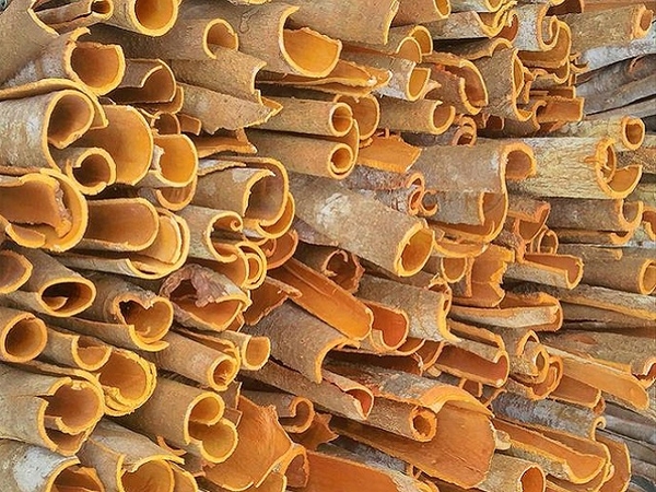 SPLIT CASSIA Phú Nguyên Food