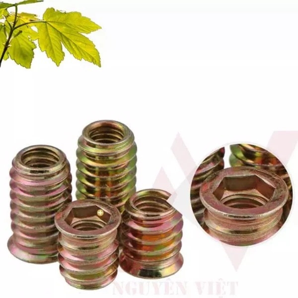 SÒ SẮT CÓ TAI VÀ KHÔNG TAI - GIÁ SỈ TỪ NGUYÊN VIỆT COMPANY