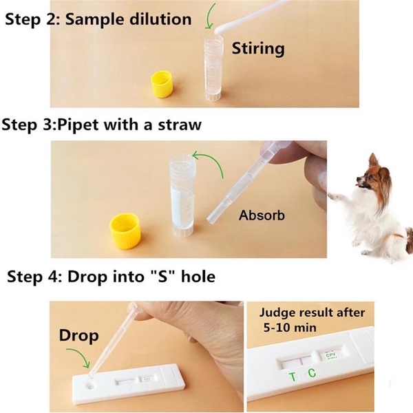 Que Test Bệnh Parvo MoAnPetShop.com