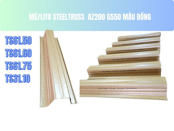 TS35.60-Thanh mè/lito mạ nhôm kẽm màu vàng STEELTRUSS az200 g550 | CÔNG ...
