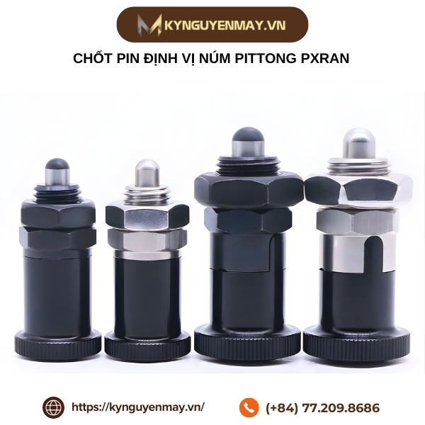 Chốt Pin Định Vị Núm Pittong PXRAN | Giá Tận Xưởng - Giao Hàng Nhanh