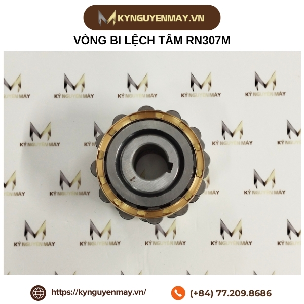 Vòng Bi Lệch Tâm RN | RN204M, RN205M, RN206M, RN219M, RN222M, RN307M