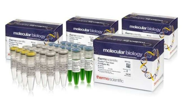 Phusion™ Plus PCR Master Mix | CÔNG TY CỔ PHẦN KỸ THUẬT VÀ SINH HỌC ỨNG ...