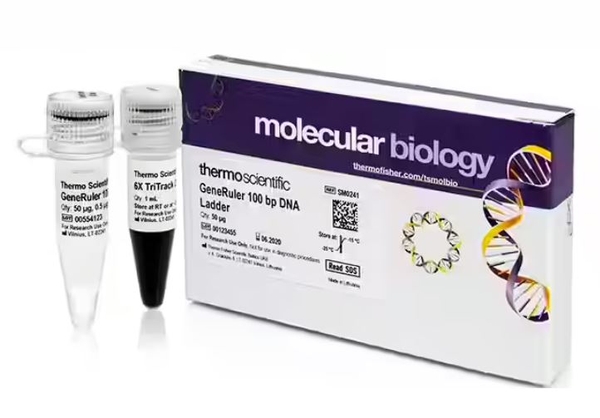 Thermo Scientific GeneRuler™ DNA Ladders (Thang DNA điện di) | CÔNG TY ...
