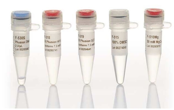 Phusion™ High-Fidelity DNA Polymerase | CÔNG TY CỔ PHẦN KỸ THUẬT VÀ ...