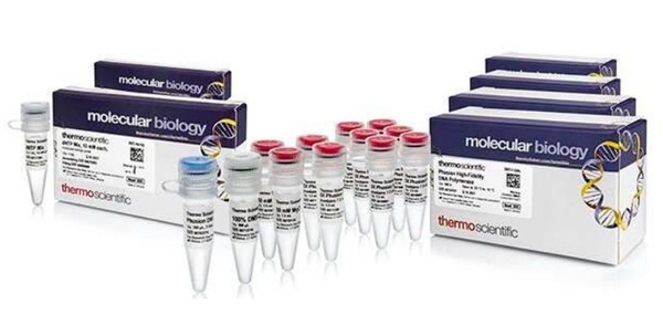 Phusion™ High-Fidelity DNA Polymerase Master Mix | CÔNG TY CỔ PHẦN KỸ ...