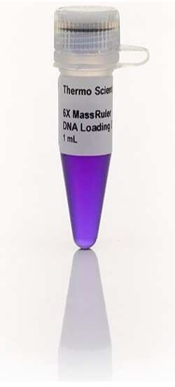 Tìm hiểu loading dye là gì và các ứng dụng trong ngành công nghiệp dệt may